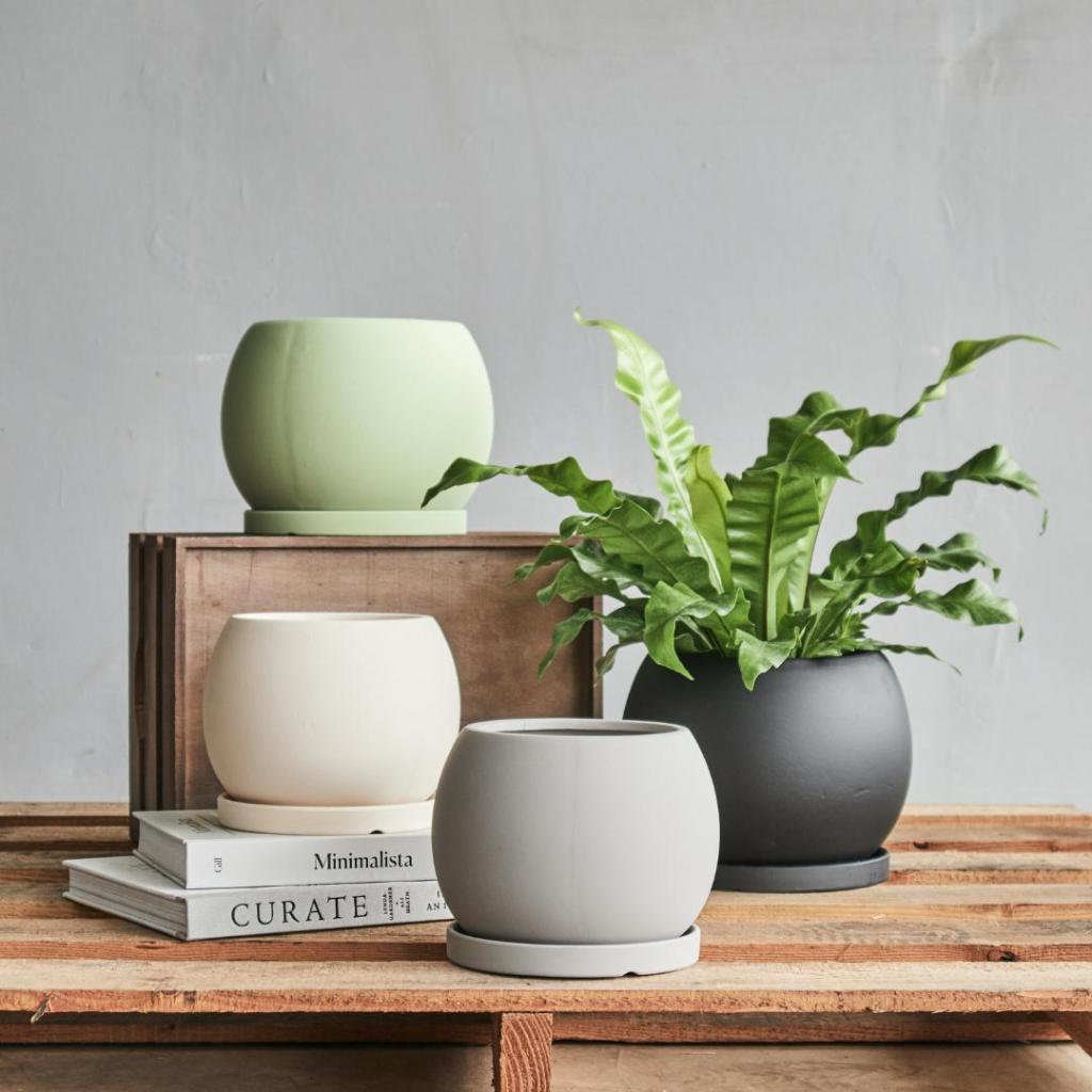 Como Series Ceramic Flower Plant Pot | Home Garden Flower Pot | Ceramic ...