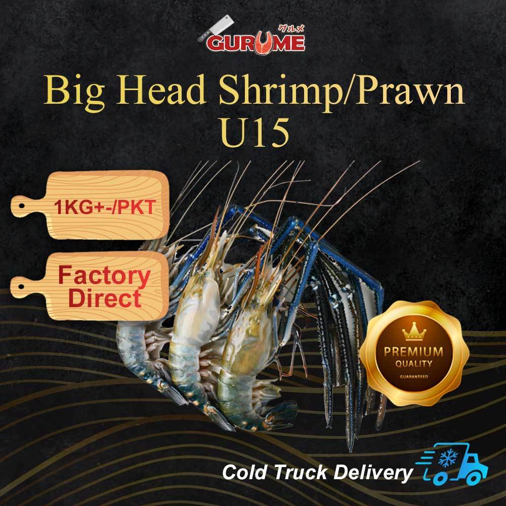 [GURUMESG] U15 Big Head Prawn (1kg) | 大头虾 | Shopee Singapore