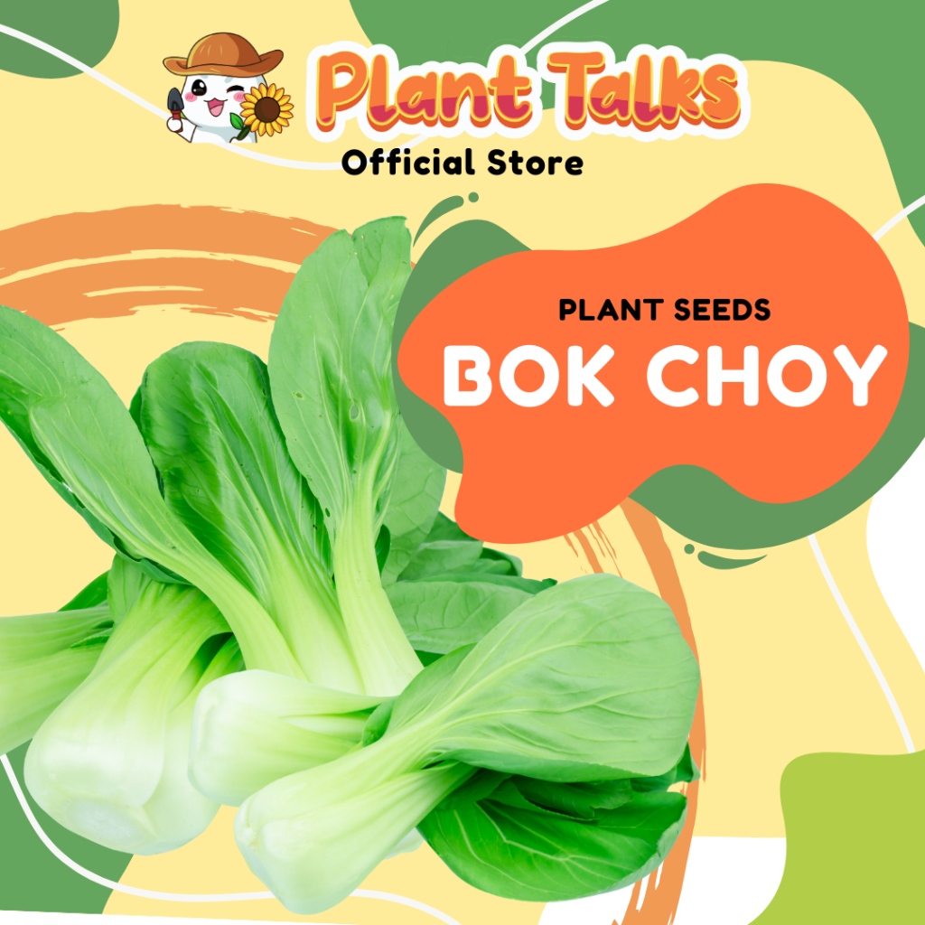 Plant Talks Xiao Bai Cai Seed Green Pak Choi Bok Choy Seed Vegetable ...