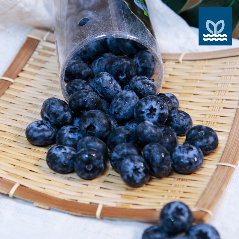 Prime Fresh - Premium Jumbo African Blueberries 200G | Shopee Singapore