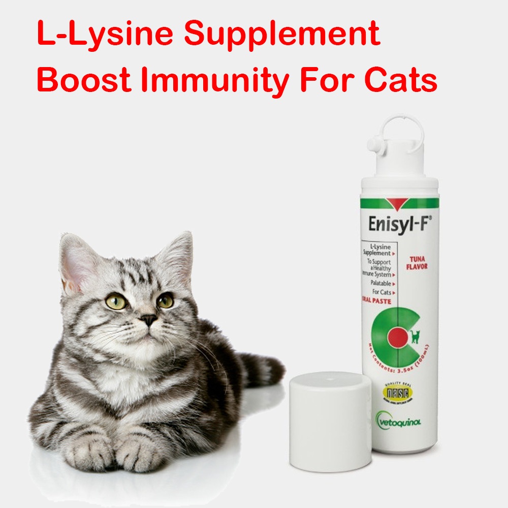 Vetoquinol Enisyl F 100ml Herpes Virus Boost Immunity L-Lysine ...