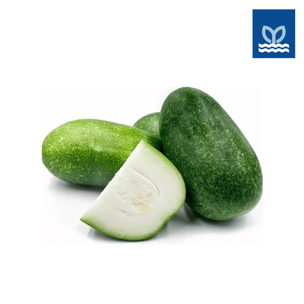 Prime Fresh - Winter Melon 冬瓜 1KG – 1.2KG | Shopee Singapore