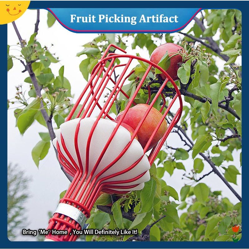 Height Adjustable Multifunction Fruit Picker net Basket Tool Easy Safe Work plucking mango ...
