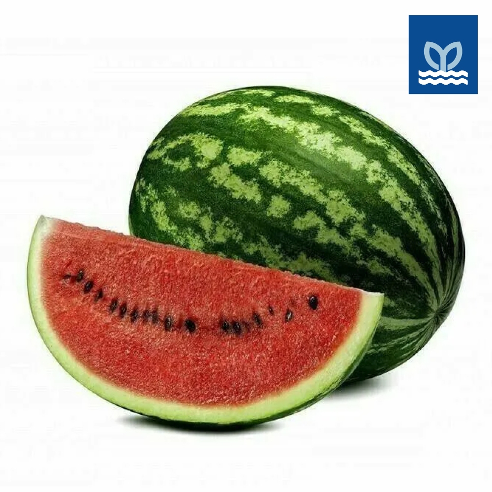 Prime Fresh - Malaysian Red Watermelon 4KG - 5KG | Shopee Singapore