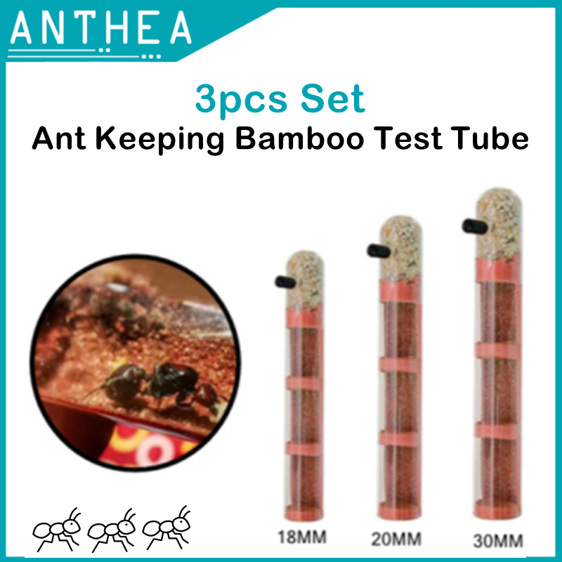 3pcs Ant Keeping Bamboo Test Tube Nest Farm Sand Formi Formicarium ...