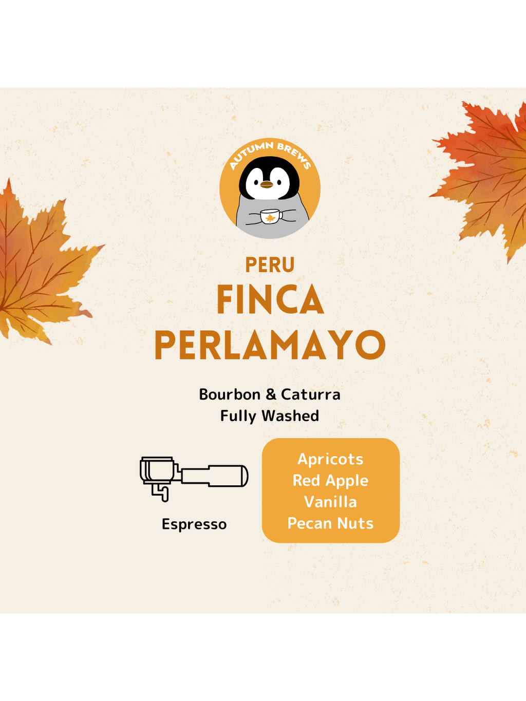 Roast to Order Single Origin Peru Specialty Arabica Coffee Beans ...