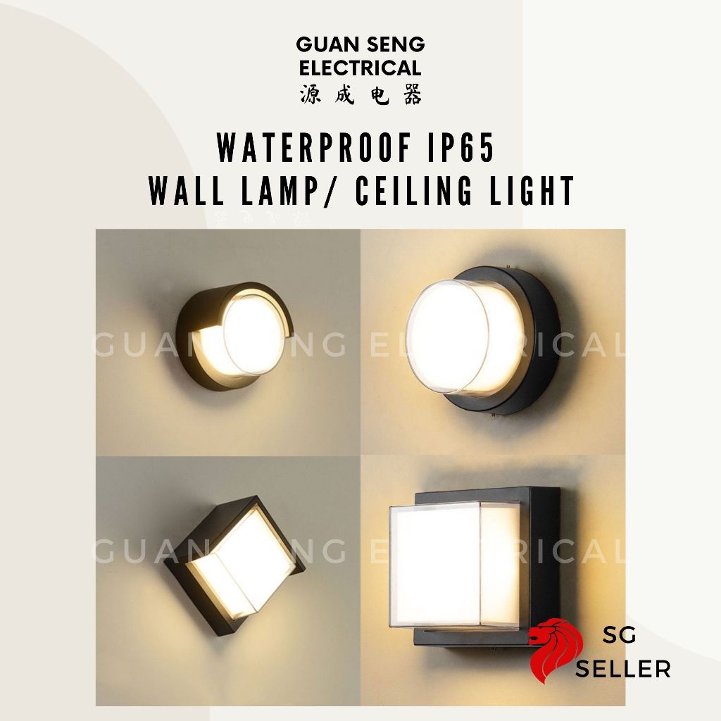 LED Waterproof Wall Lamp Ceiling Light IP65 3Tone 15W 20W Indoor ...