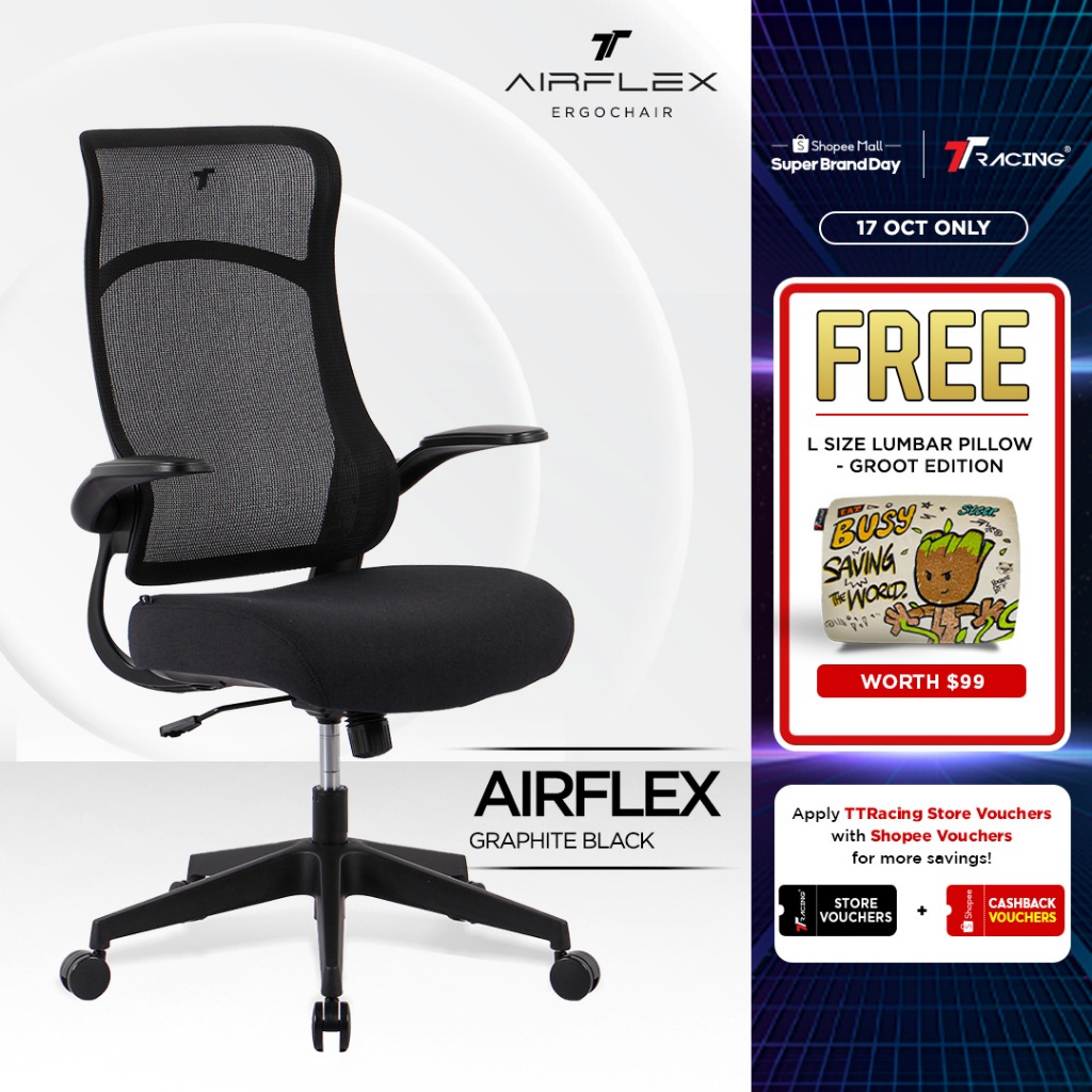 TT Airflex Ergochair Home Office Mesh Chair Executive Ergonomics Chair ...