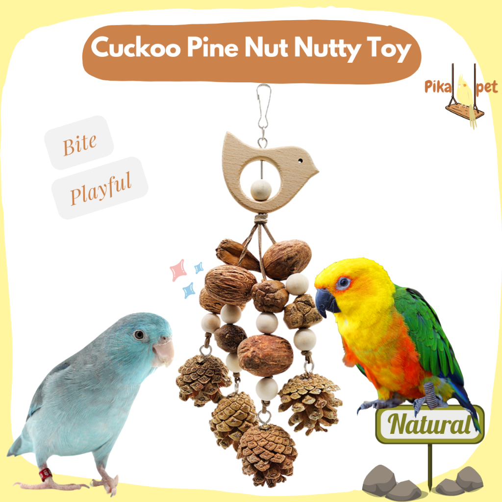 [SG Local Seller] Cuckoo Pine Nut Nutty Toy Bite Chew Toy for Healthy ...