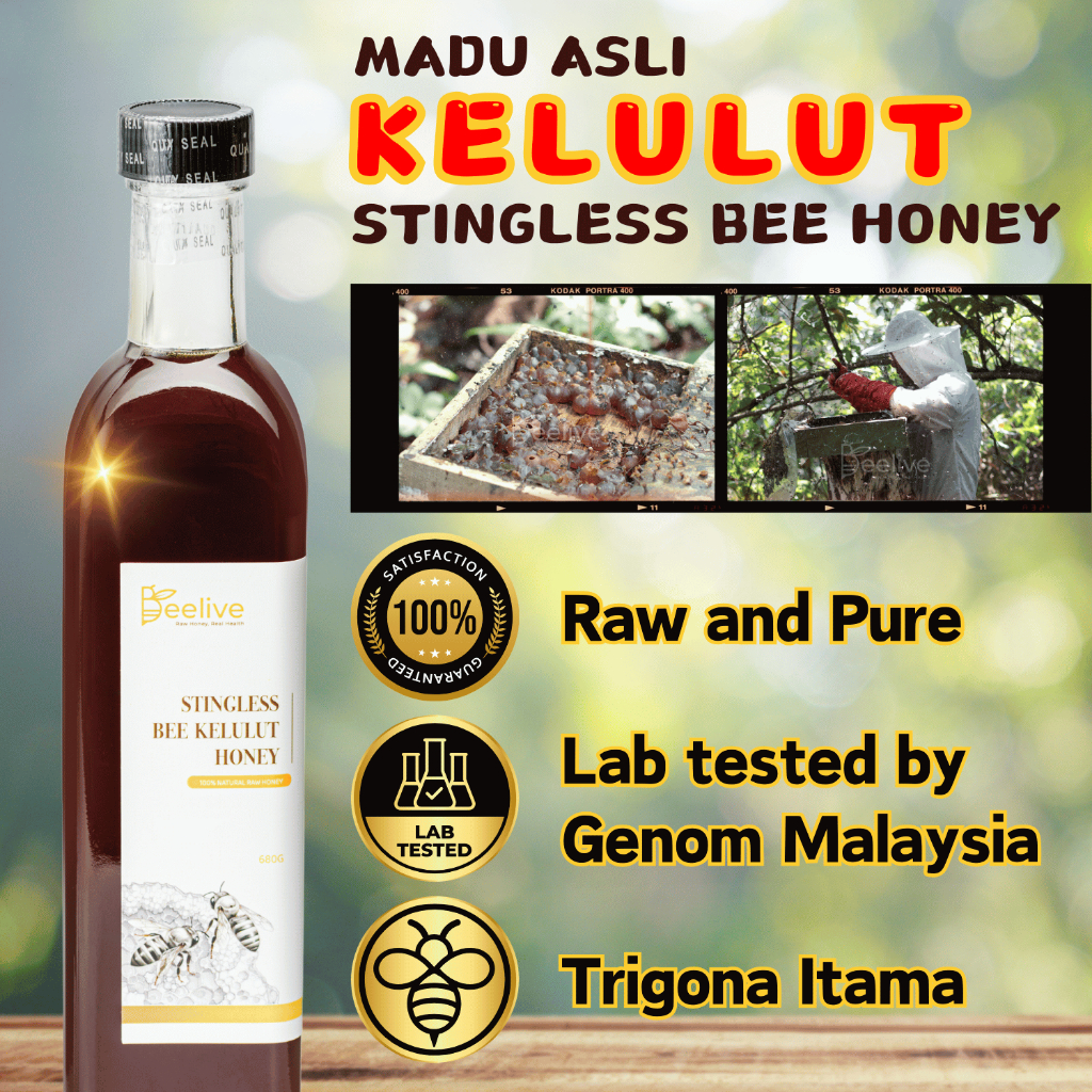 STINGLESS BEE HONEY (KELULUT HONEY) 680G 100% madu asli original 银蜂蜜 ...