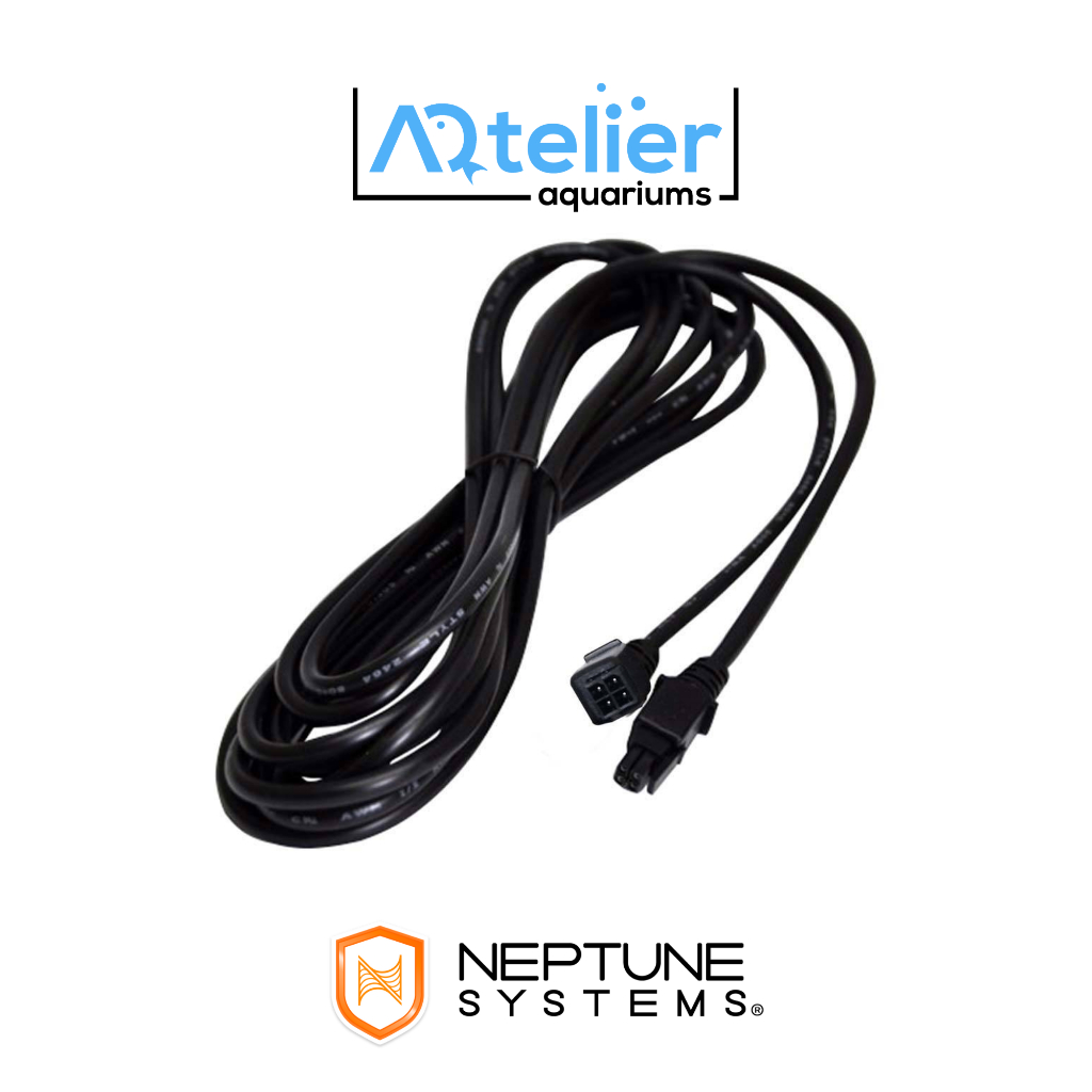 Neptune System 1Link Male x Male 4 Pin Cable | Shopee Singapore