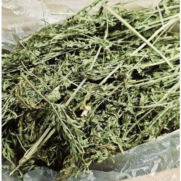 Carrot Top (30g) | Shopee Singapore