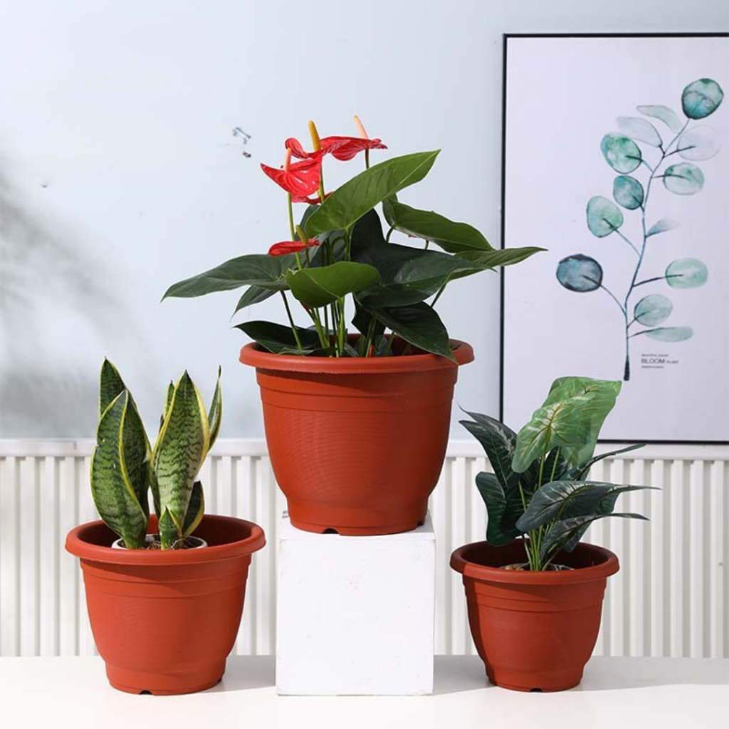 Traditional Heavy-Duty Plastic Flower pot (Brown) | Shopee Singapore