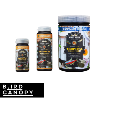 AZOO Tropical Micro Pellet Fish Food for small fishes by Bird Canopy ...