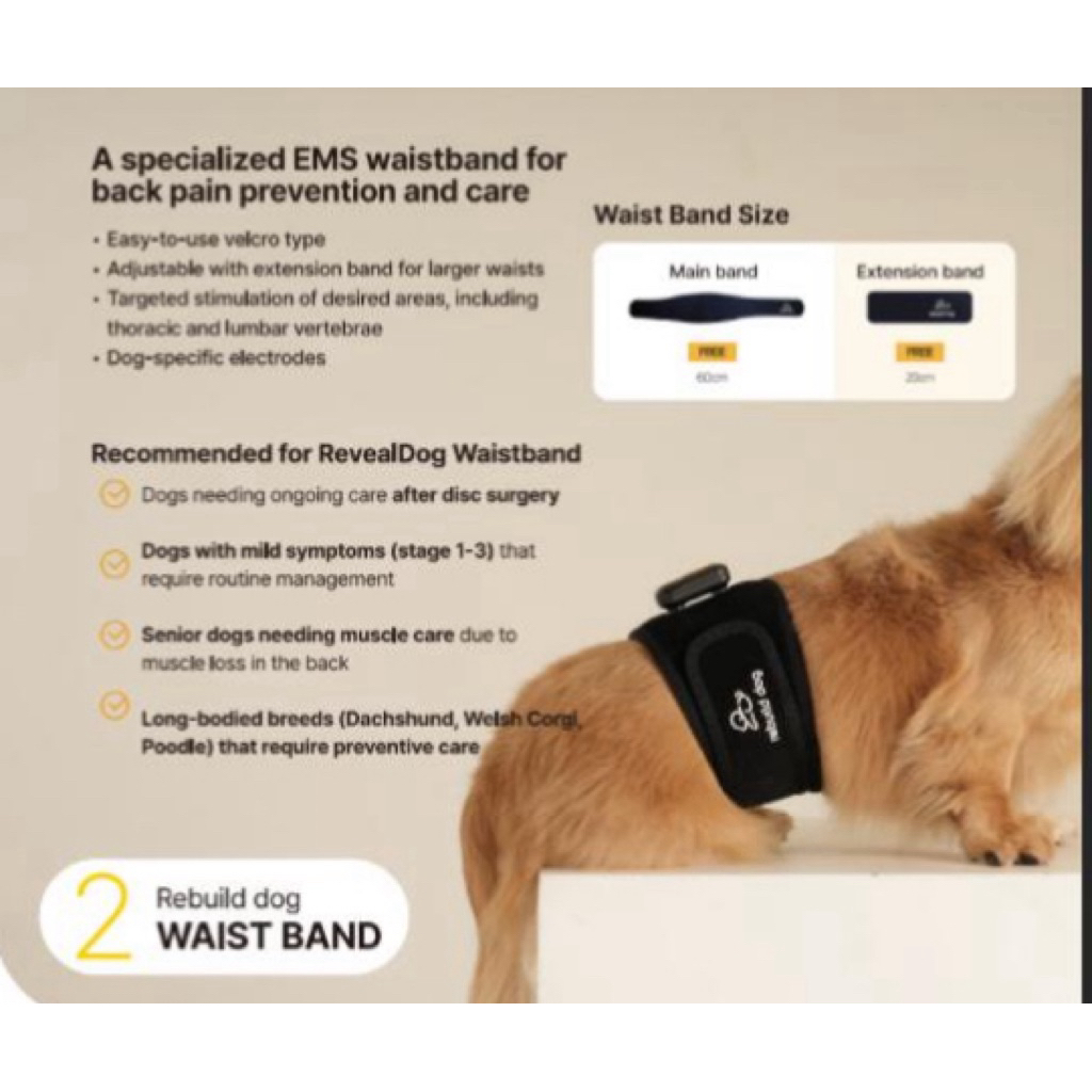 Rebuild Dog EMS Muscle Strengthening and Pain Management for Dogs ...