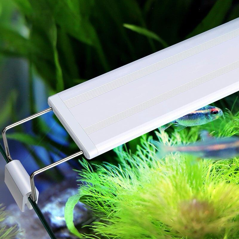 🇸🇬 SG Seller | Super Slim Aquarium LED Lighting Aquatic Plant Light ...