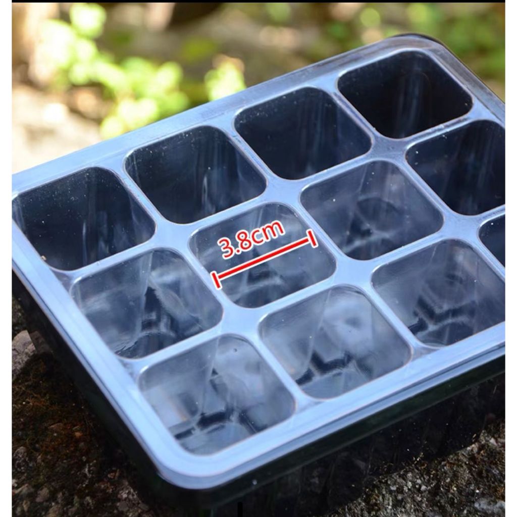 Plant Seed Seedling Tray Germination Starter Kit Seed Grow Box Plant ...