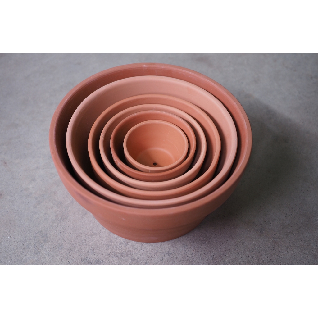 [SG Stock] Terracotta Pot - Half Height Terracotta Pot (14.5cm to 22cm ...