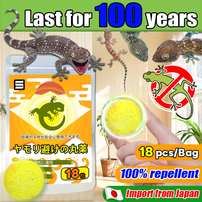 Last for 100 years BS Lizard repellent Gecko repellent Anti lizard One ...