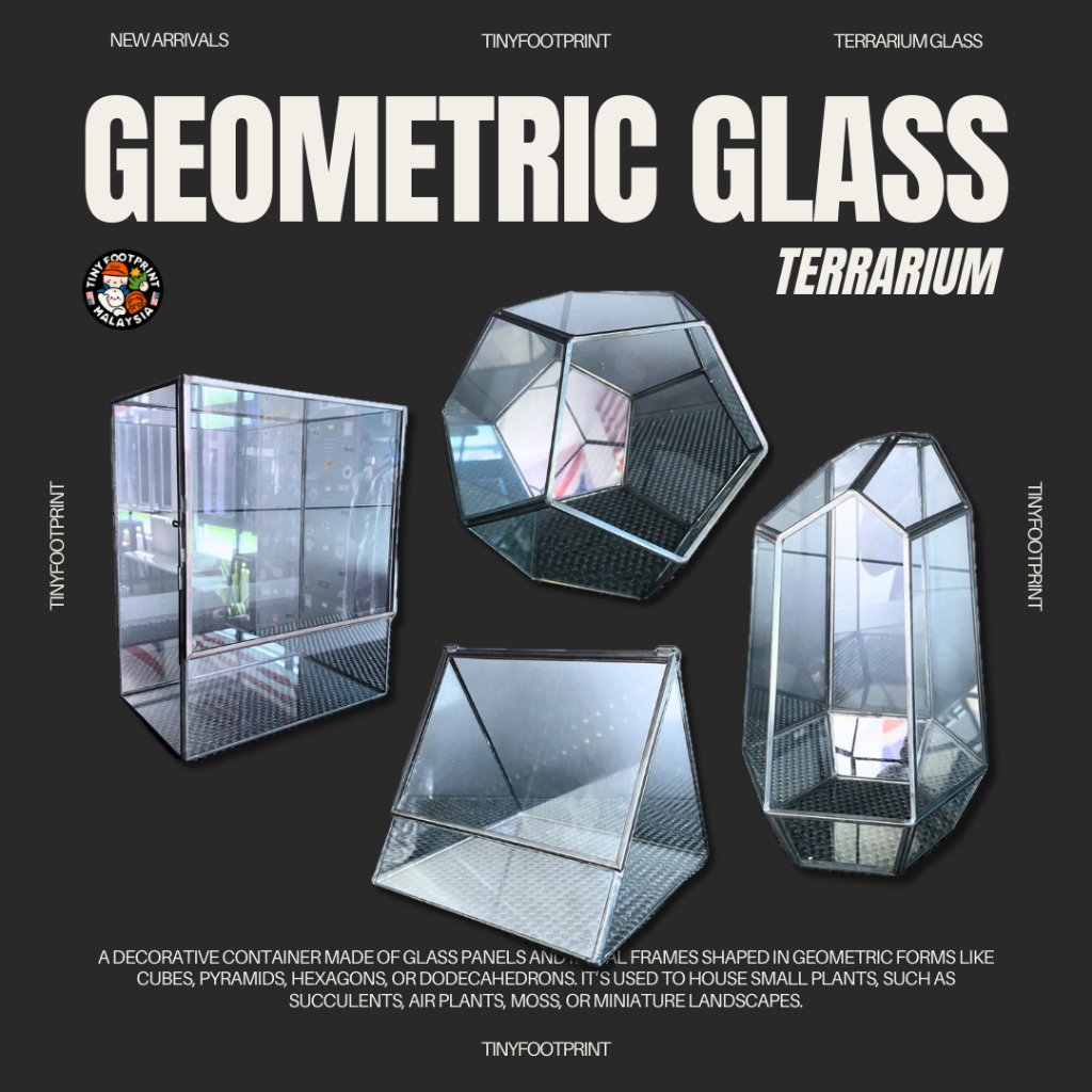 Geometric glass terrarium copper frames for showcasing succulents, air ...