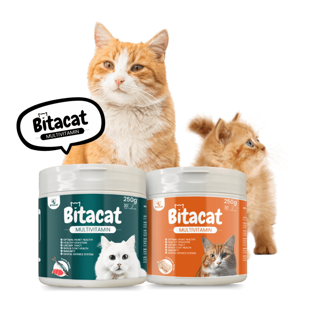 Bitacat Multivitamins for Cats 2 flavours great for all age Comes with ...