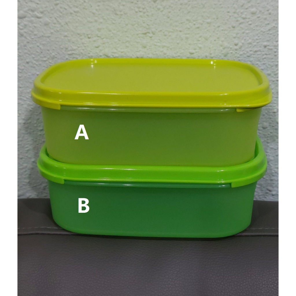 Tupperware Modular Mates Mini Rectangular 850ml (1pc) | Shopee Singapore