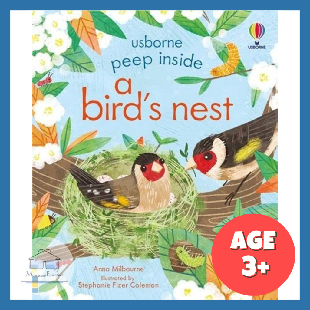 (A Birds Nest) Usborne Peep Inside Children Hardcover Educational ...