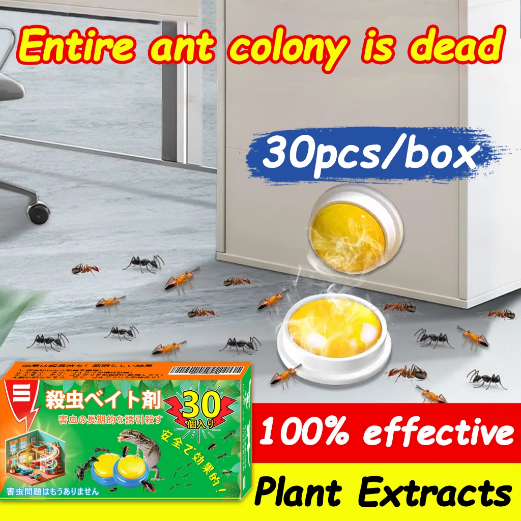 【30pcs/box！Ant killer】VGD Ant killer Ant bait gel Ant bait killer Ant ...