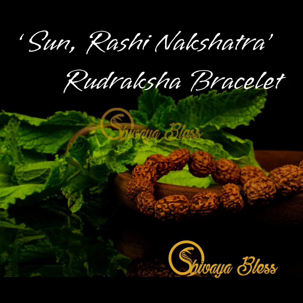 Authentic Astrology Zodiac (Sun, Rashi Nakshatra) Rudraksha Bracelet ...