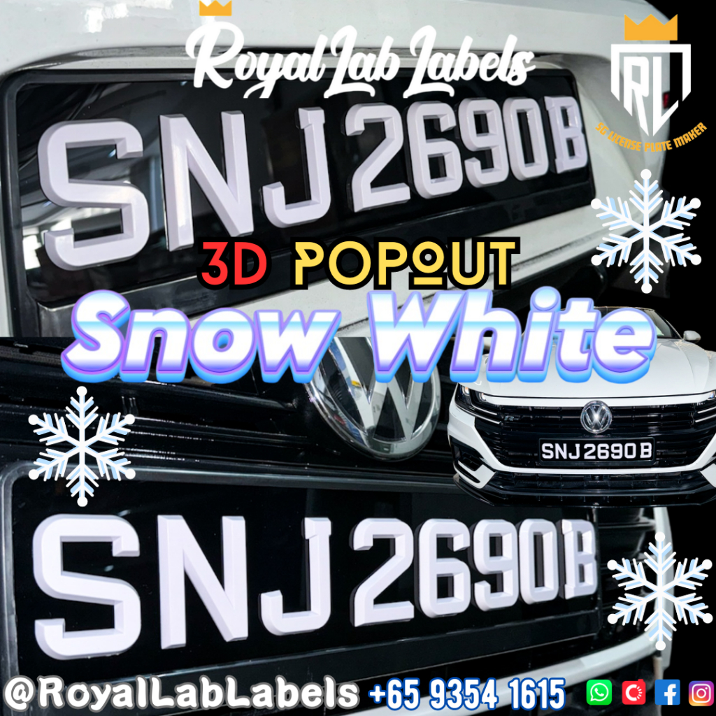 [🇸🇬 ] 3D Carplate Popout (Snow White) Car License Plate | Shopee Singapore