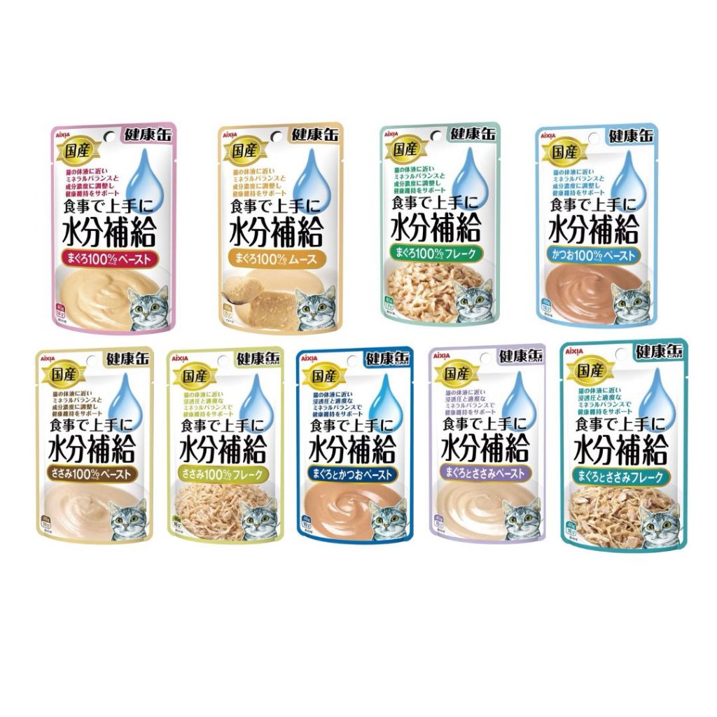 Aixia Kenko Pouch Cat Food 40g | Shopee Singapore