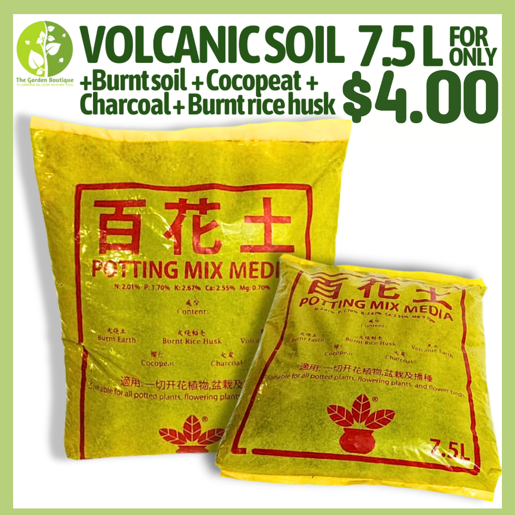 [Local Seller] Volcanic Soil + 4 Soilmix for Flowers/Vegetables/Herbs ...