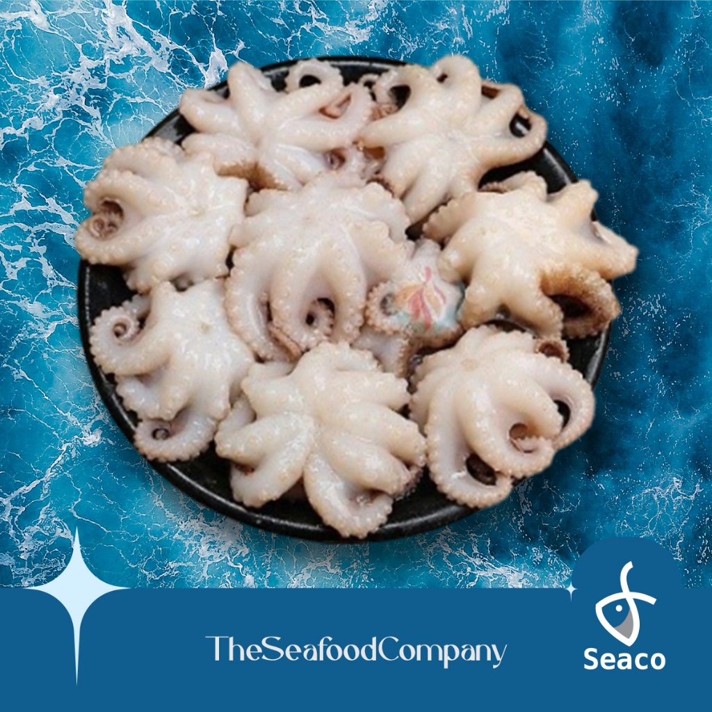 [Seaco] Frozen Baby Octopus Whole Clean | Shopee Singapore