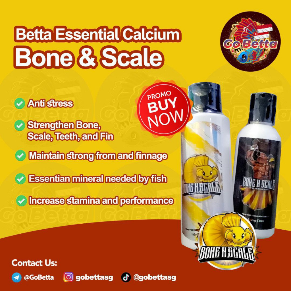 [SG Seller] Premium Bone N Scale Calcium Betta Fish Calcium Supplement ...
