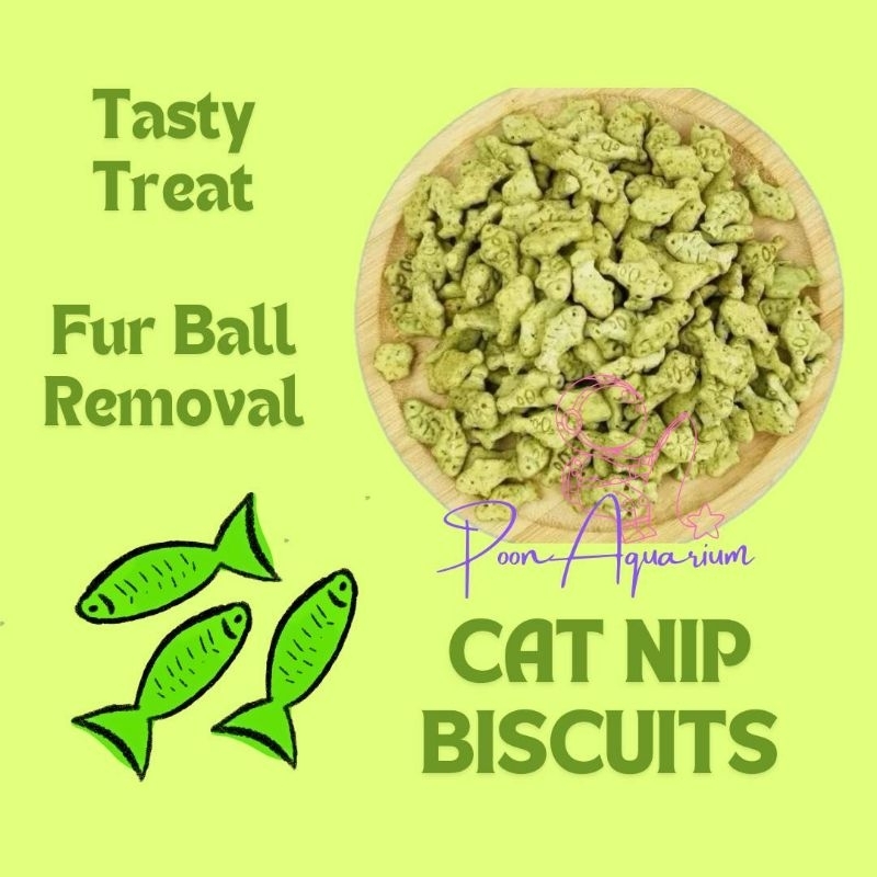 ‼️SG STOCK‼️ CATNIP BISCUIT // CAT TREAT // FUR BALL REMOVAL // DENTAL ...