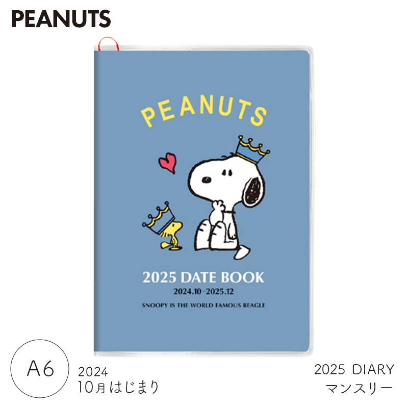 PEANUTS Snoopy 2025 A6 Monthly Diary 17PD-1B | Shopee Singapore
