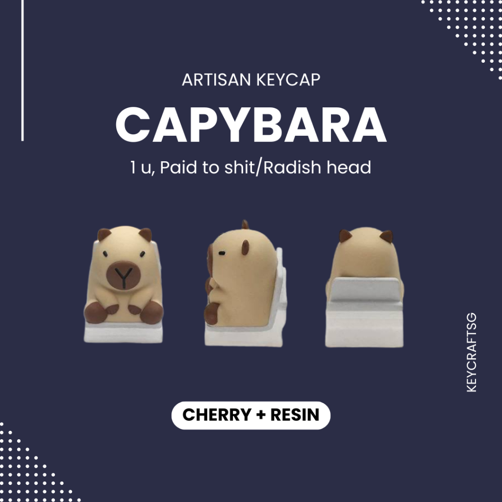 🇸🇬 Capybara Artisan Resin Handmade Keycap Hotswap Paid2Shit Radish Huat ...