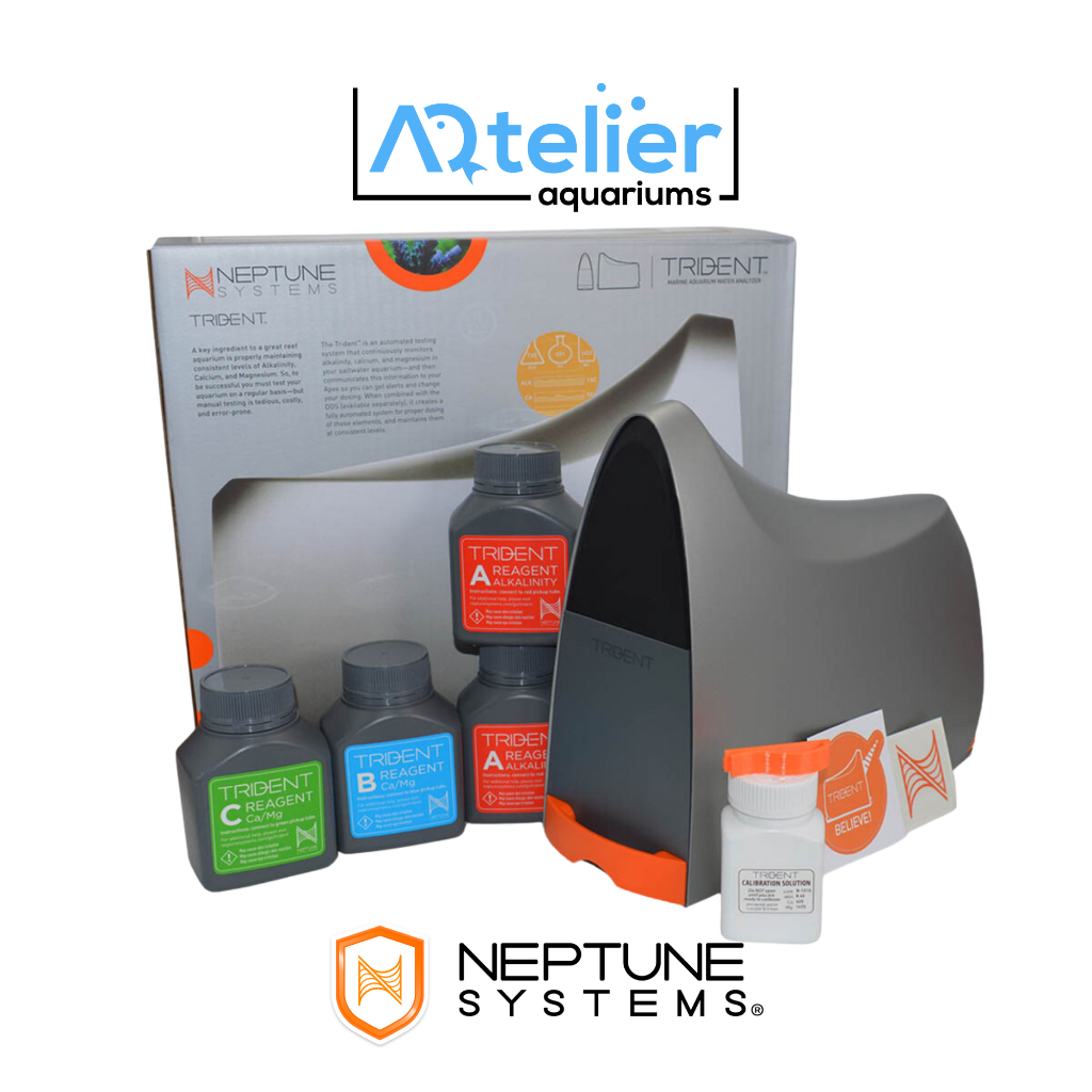 Neptune System Trident / Trident NP | Shopee Singapore