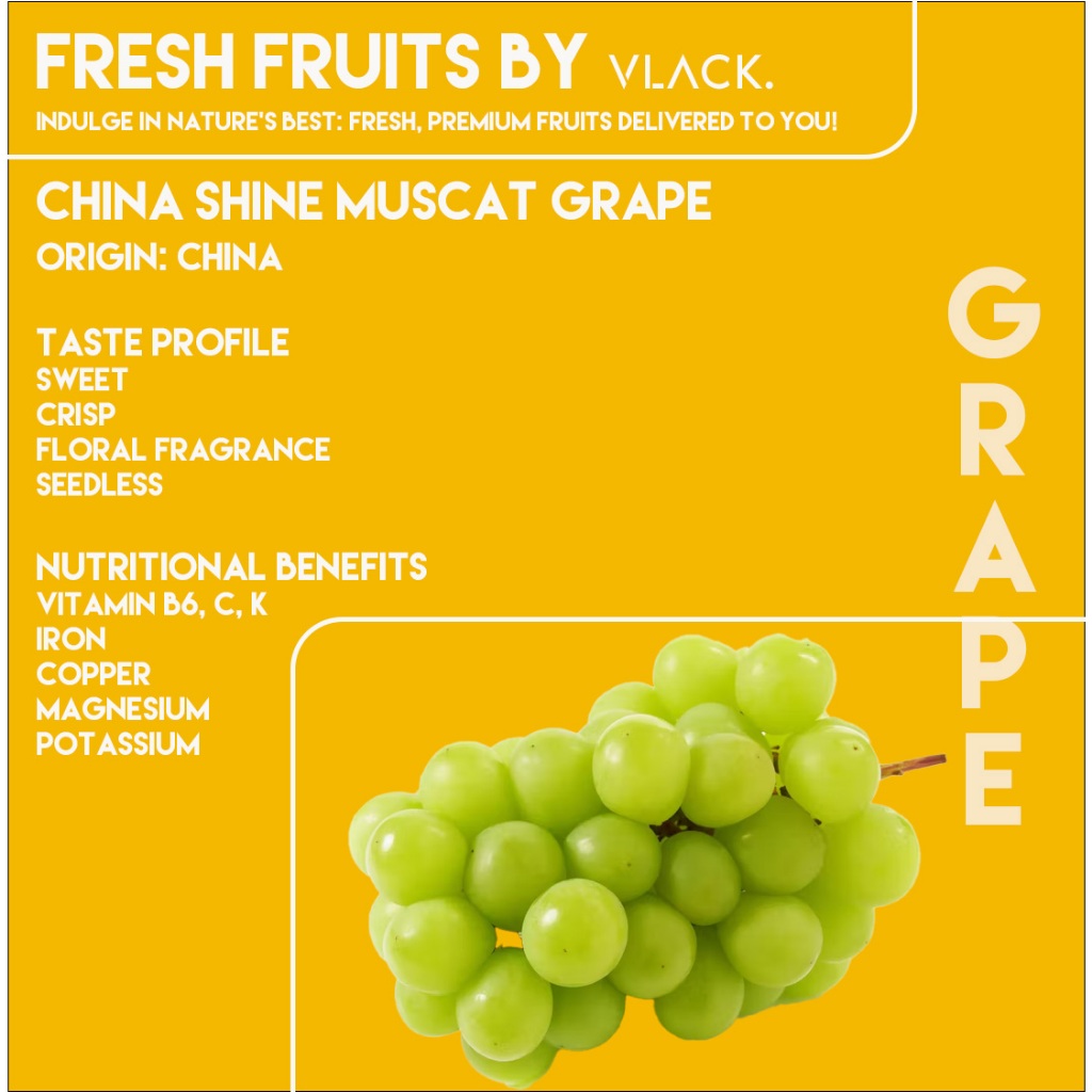 CHINA SHINE MUSCAT GRAPES (400-450g/punnet) | Shopee Singapore
