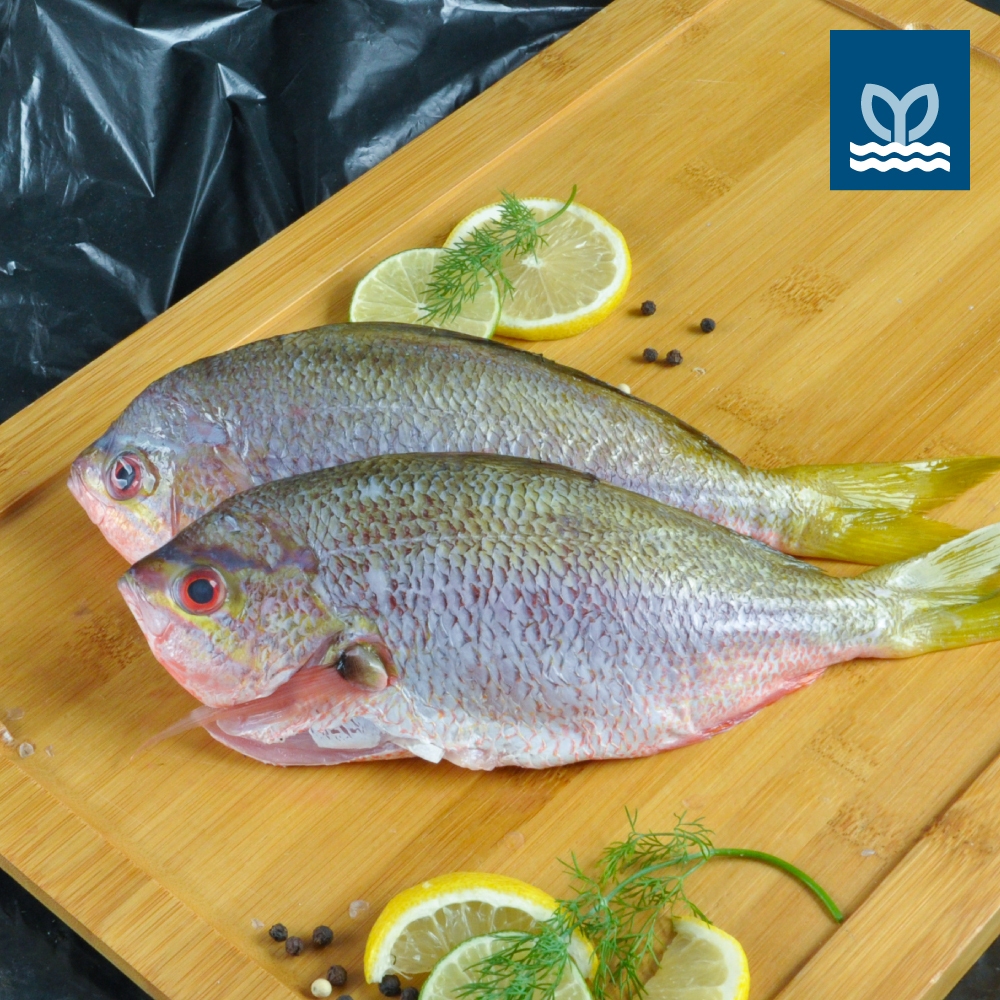 Prime Fresh - Fresh Yellowtail (Potato Fish) 黄尾鱼 about 1KG | Shopee ...