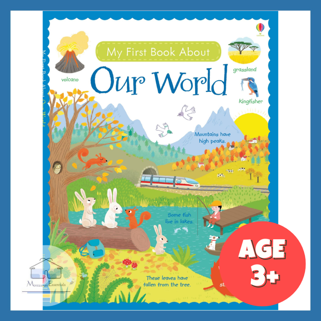 (Our World) Usborne First Sticker Book Kids Sticker Books Children ...