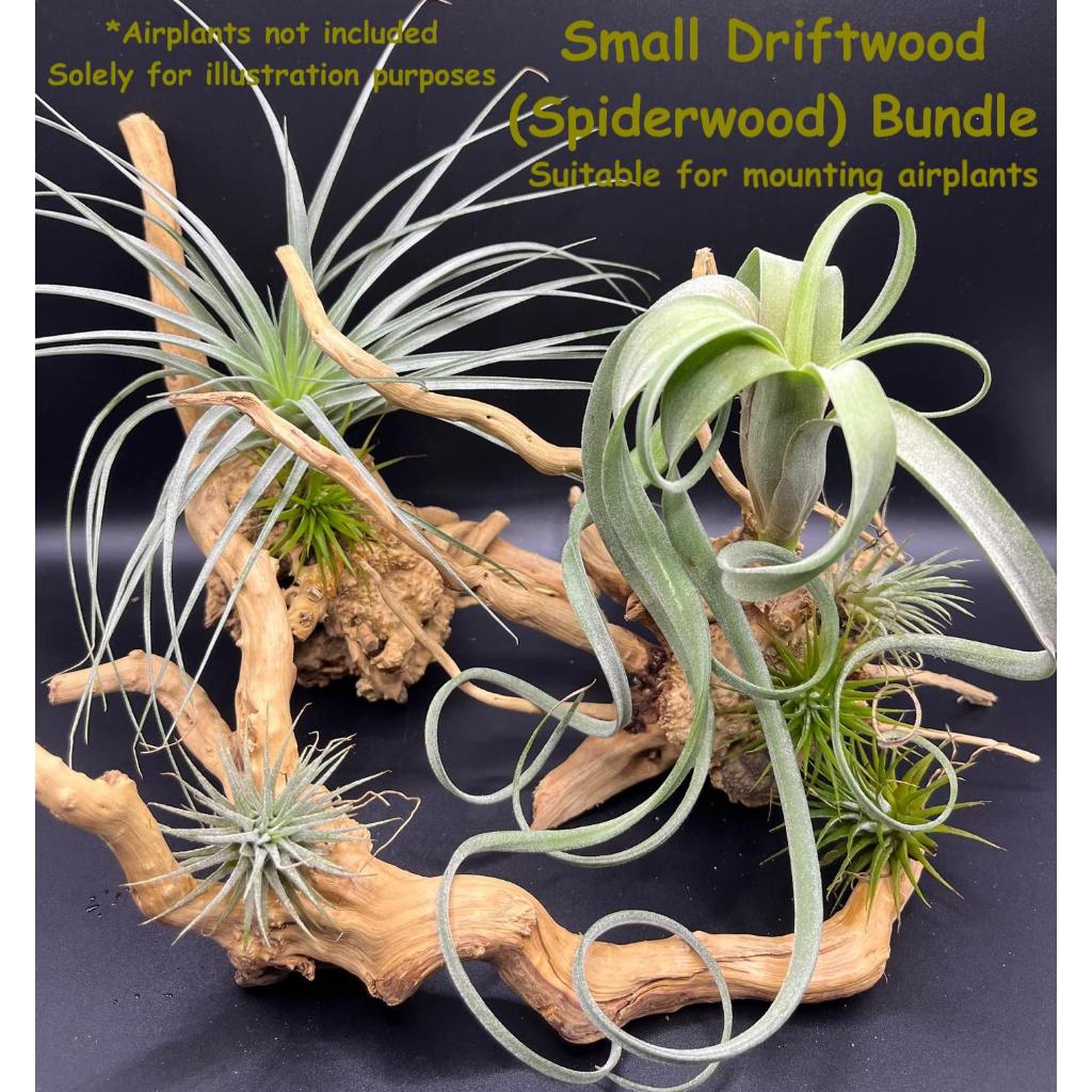 Small Driftwood(Spiderwood) Bundle (Every bundle consists of min. 3pcs ...