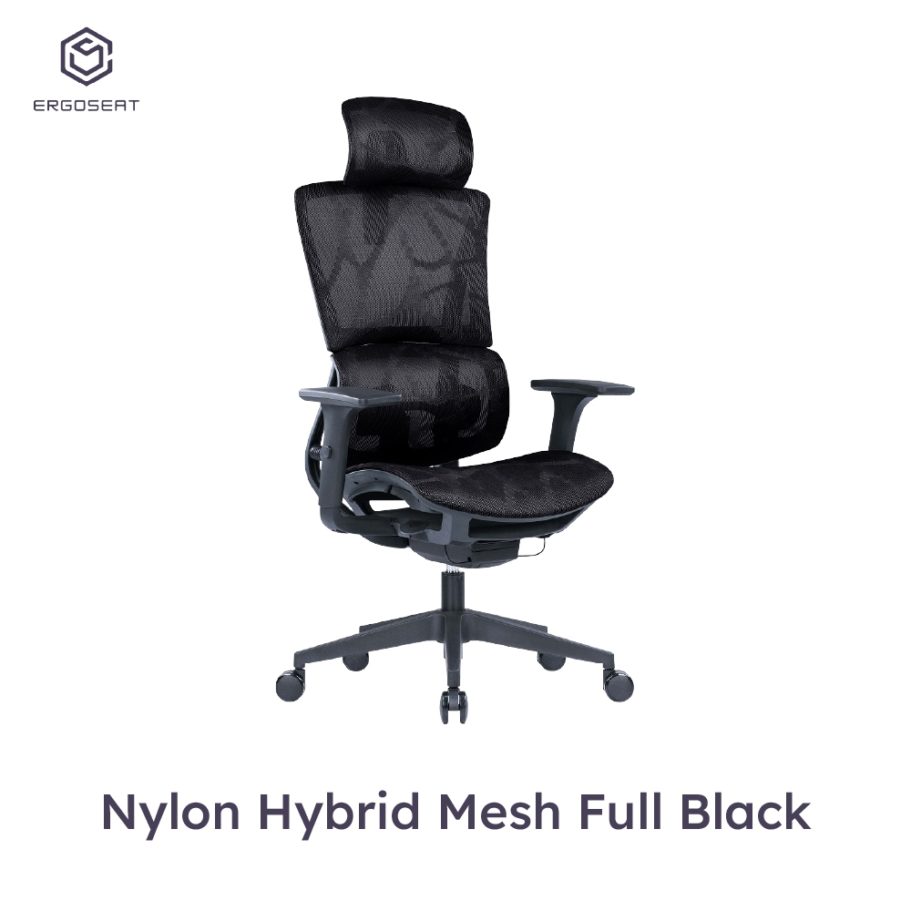 Ergoseat Ergonomic Office Chair Lumbar Support Computer Chair Study ...