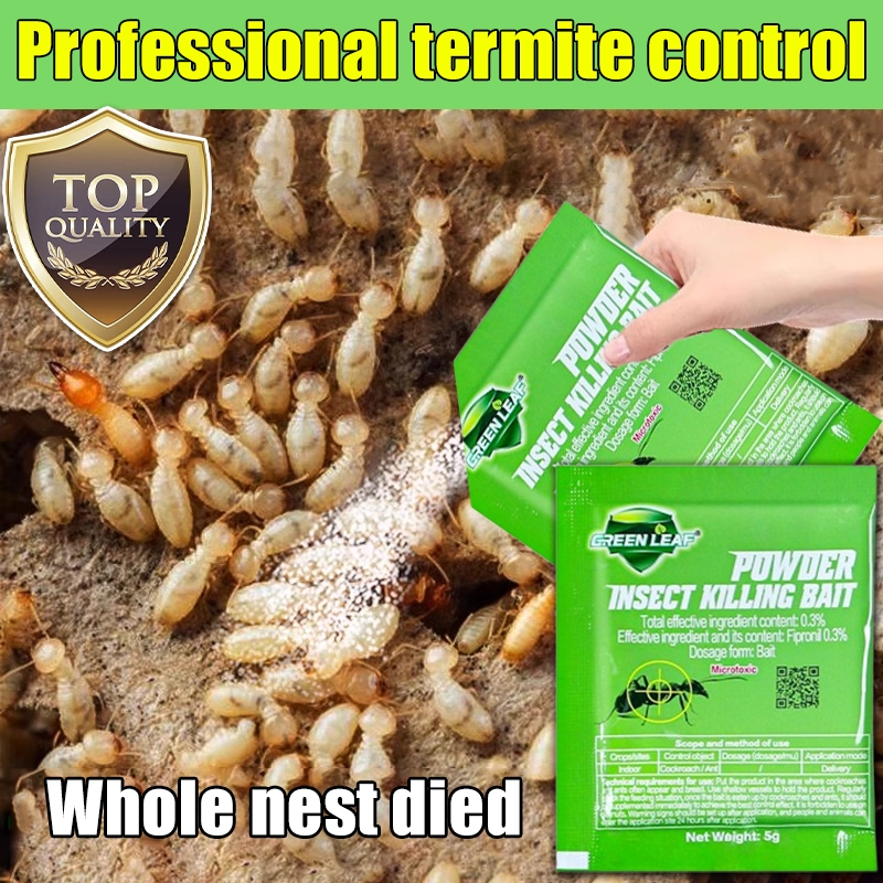 Whole nest died！GN Termite killer Termite powder Termite bait ...