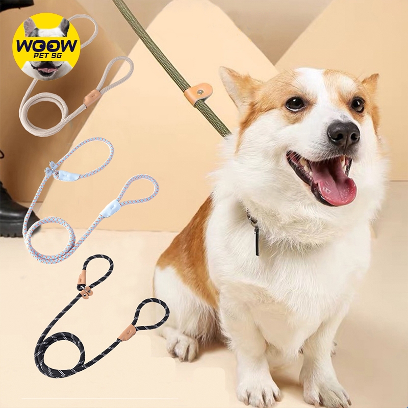 [SG]Pet Eco Durable Thick Slip Lead Nylon Dog Training Leash - 1.5m /1 ...