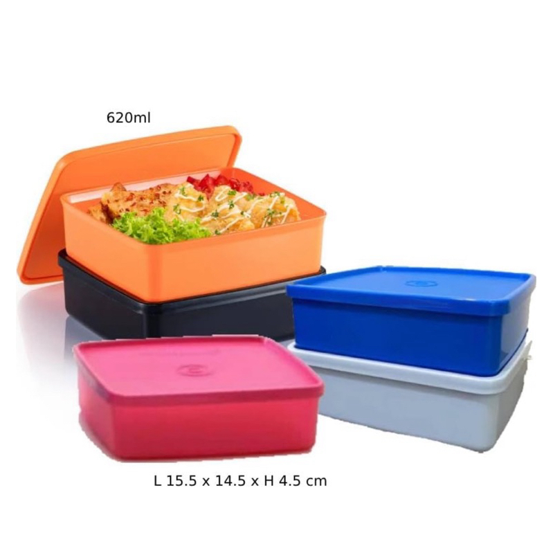 Tupperware Large Square Round 620ml | Shopee Singapore