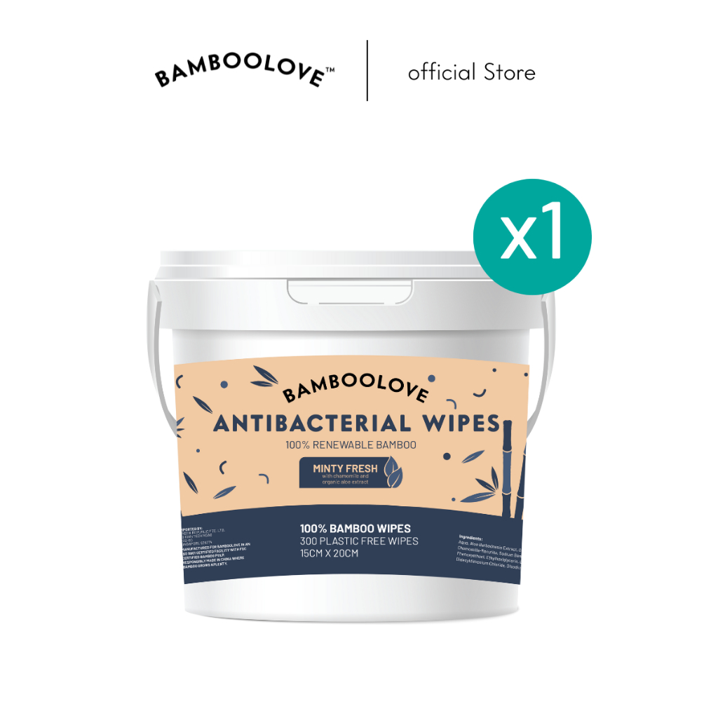 BAMBOOLOO The Nurturing Co Antibacterial Wet Wipes - 300 Wipes ...