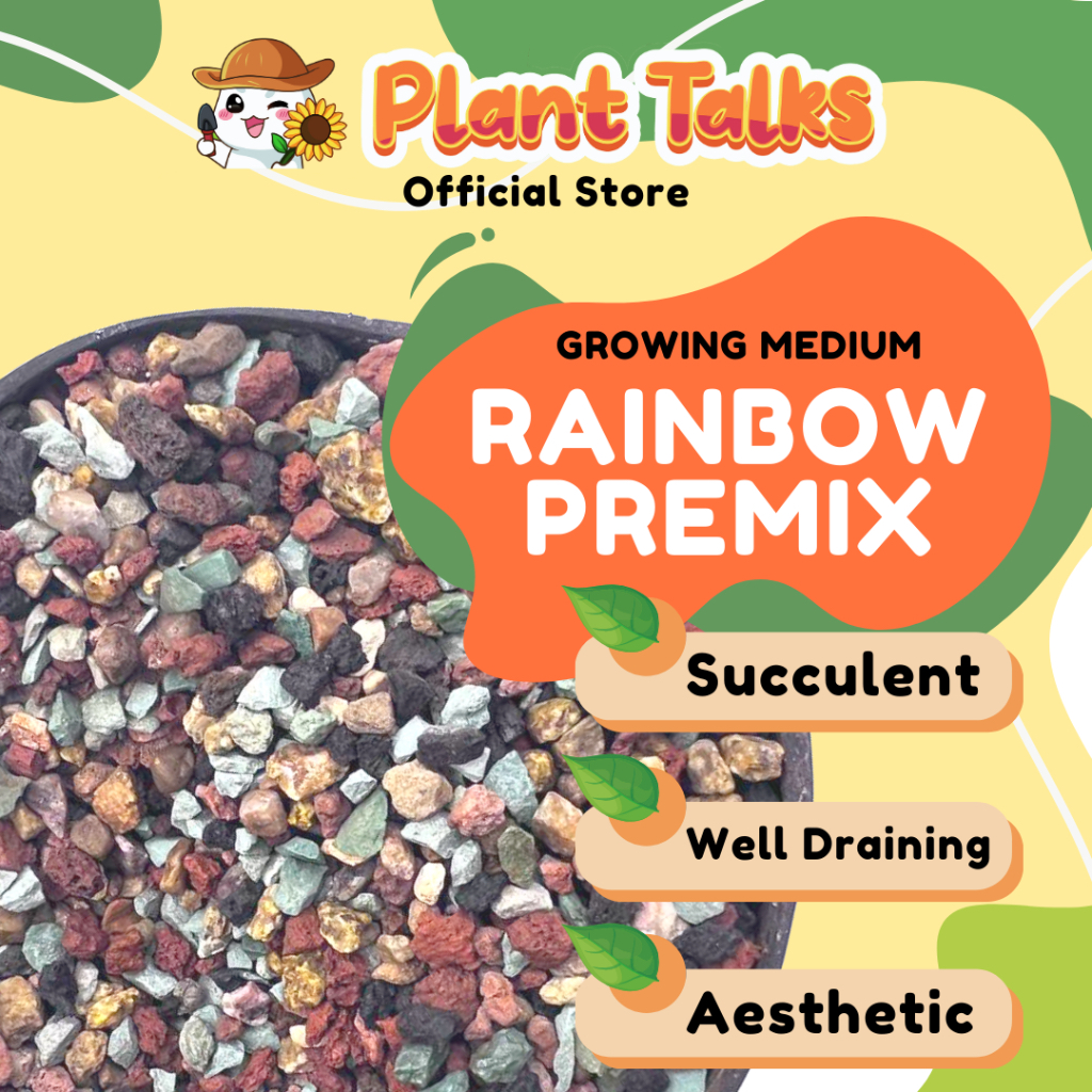 Plant Talks Rainbow Mix for Succulent and Soil for Lithops Well ...