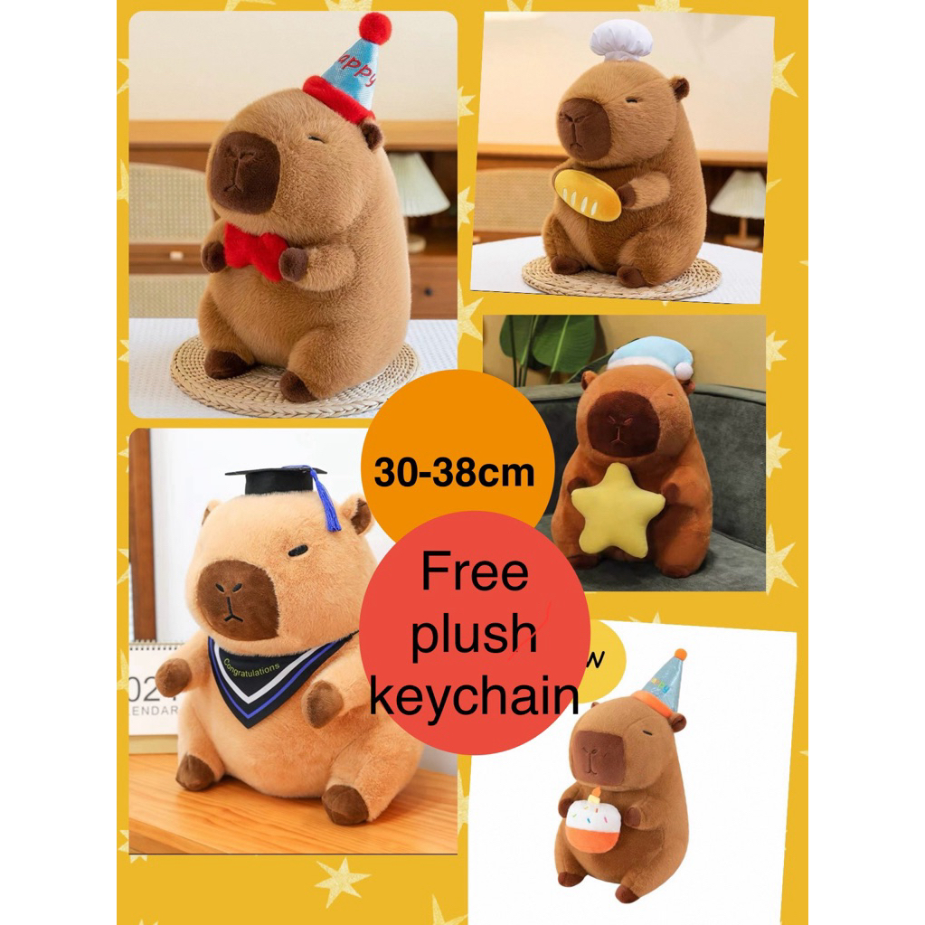 Big Cute Capybara Graduation 30cm Plush Soft Toy | Shopee Singapore