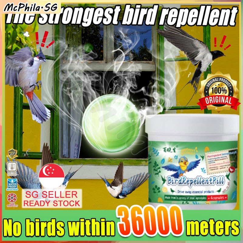 ⚡𝗦𝗚 𝗦𝗧𝗢𝗖𝗞⚡ 5per/box Bird repellent for window Effective pigeon ...